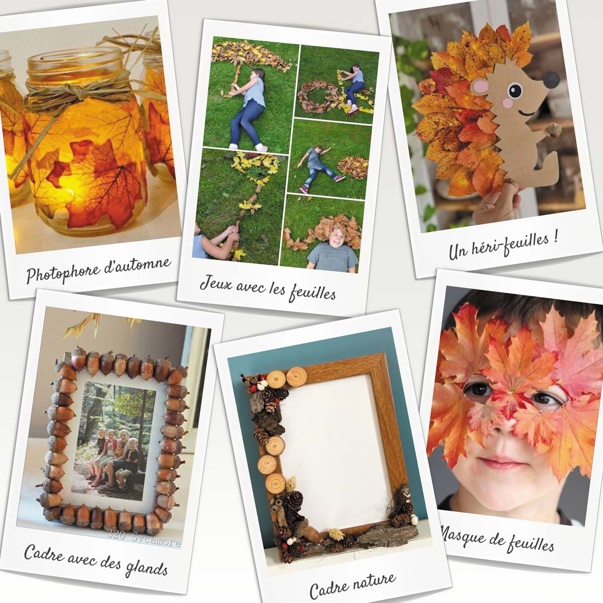 Les meilleures activités à faire en forêt cet automne 🍂🌲 - PetitPotin